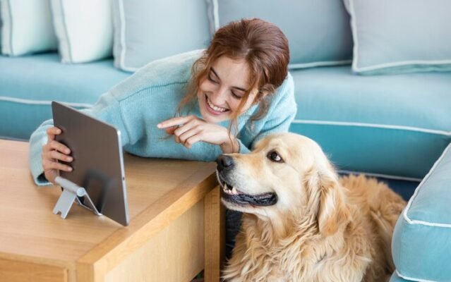 Doggy Ji Dog Biscuits: Delicious Treats Every Pet Will Love